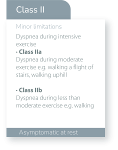 New York Heart Association functional classification: the NYHA ...